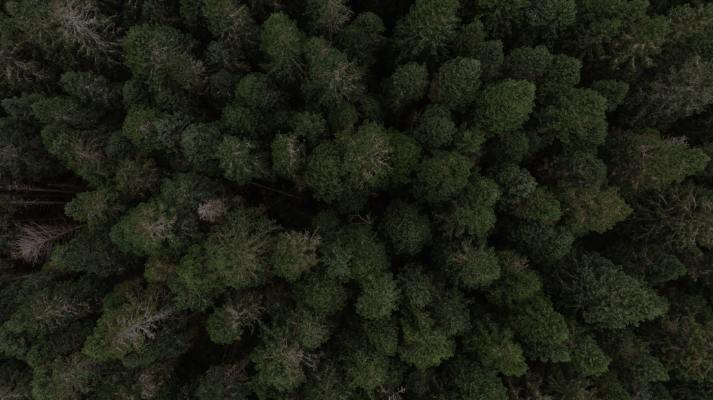 The Future of AI Image Generation - Trends and Predictions for 2025 and ...